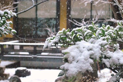 Biwako Hanakaido, Lake Biwa | SELECTED ONSEN RYOKAN | best in japan ...