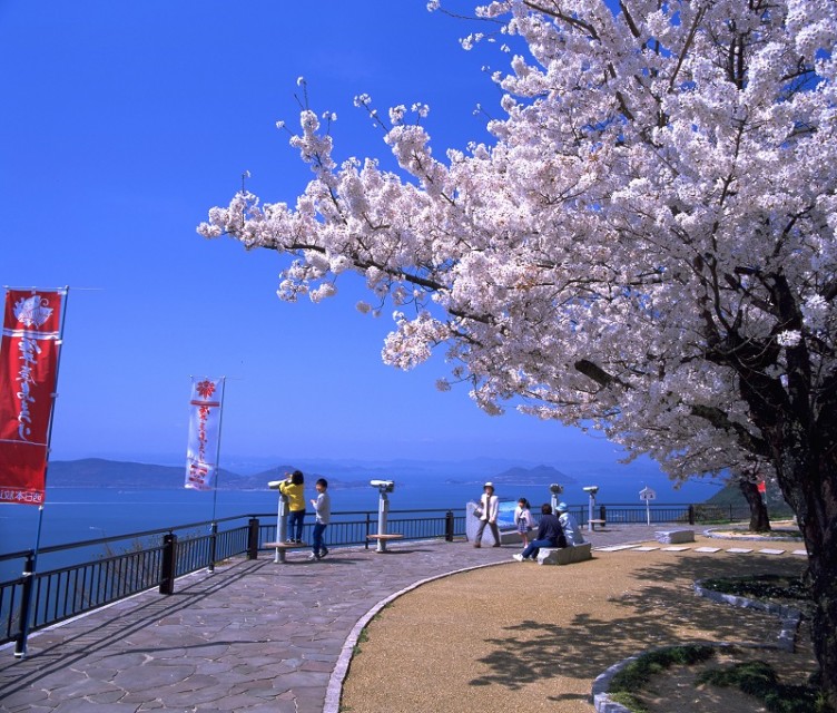 Shikoku Region – Famous sakura onsen spots with latest full-bloom ...
