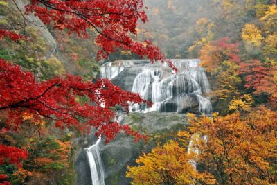 Introduction to Autumn Colours 2025 in Tokyo suburbs’ Onsen Resorts ...