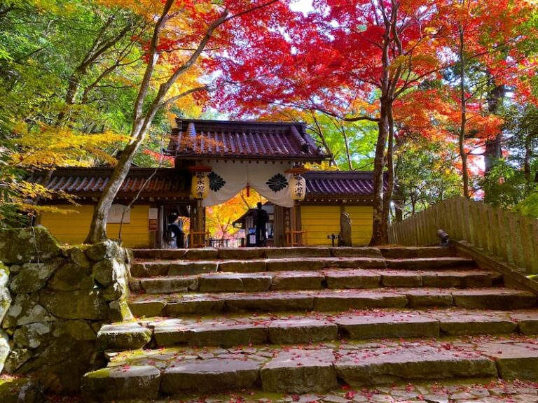 Introduction to Autumn Colours 2025 in Osaka Kyoto Kansai Region’s ...
