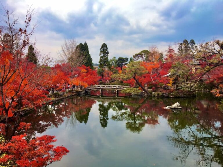 Introduction to Autumn Colours 2025 in Osaka Kyoto Kansai Region’s ...