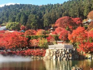 Introduction to Autumn Colours 2025 in Osaka Kyoto Kansai Region’s ...