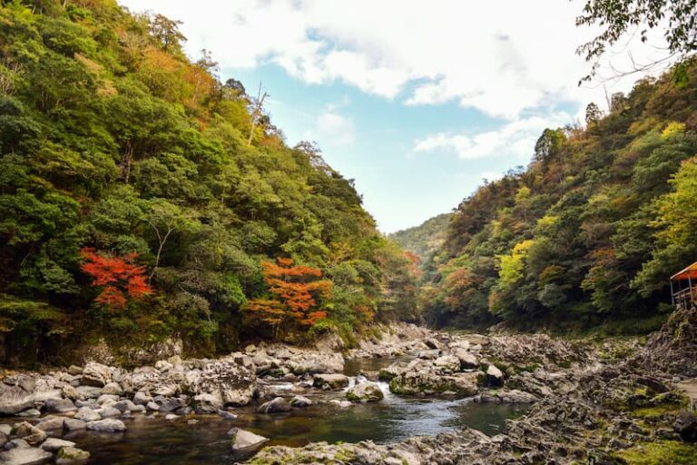 Introduction to Autumn Colours 2025 in Hiroshima Chugoku Region’s Onsen ...