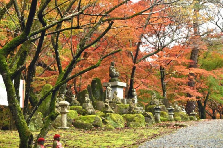 Introduction to Autumn Colours 2025 in Hiroshima Chugoku Region’s Onsen ...