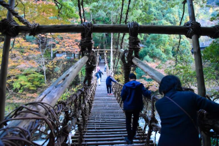 Introduction to Autumn Colours 2025 in Shikoku Region’s Onsen Resorts ...