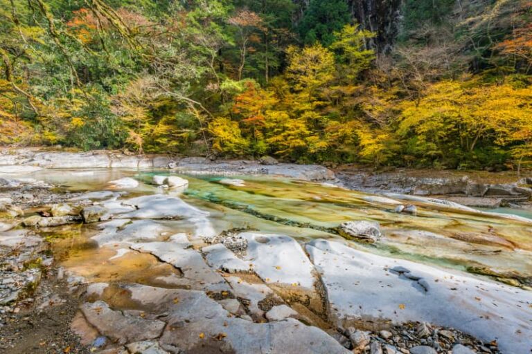 Introduction to Autumn Colours 2025 in Shikoku Region’s Onsen Resorts ...